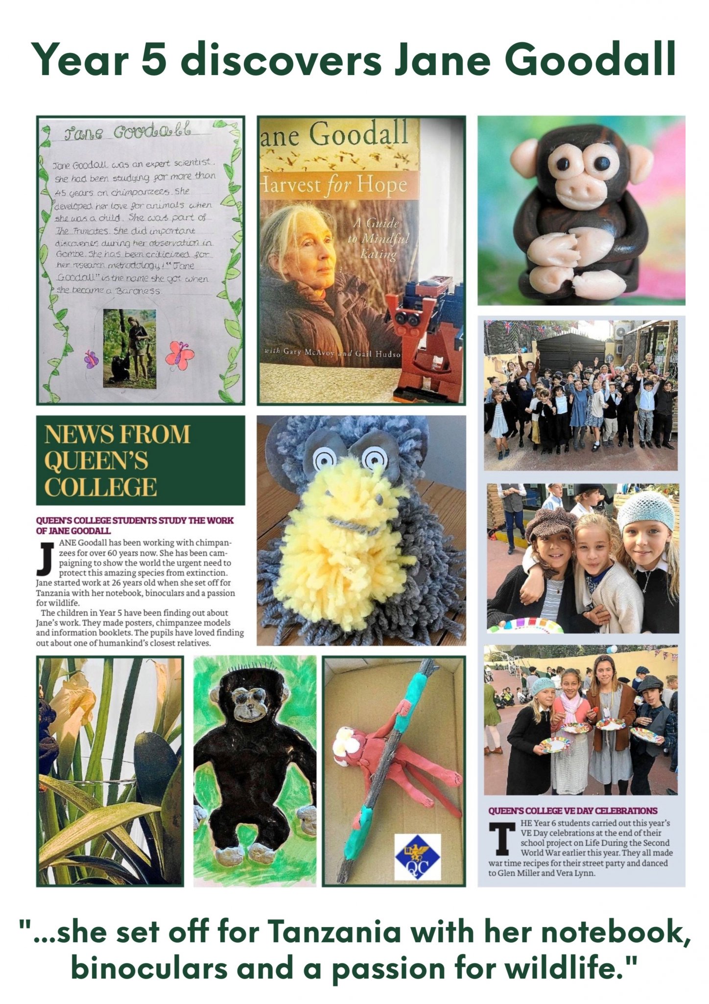 Year 5 Discovers Jane Goodall - Queen’s College